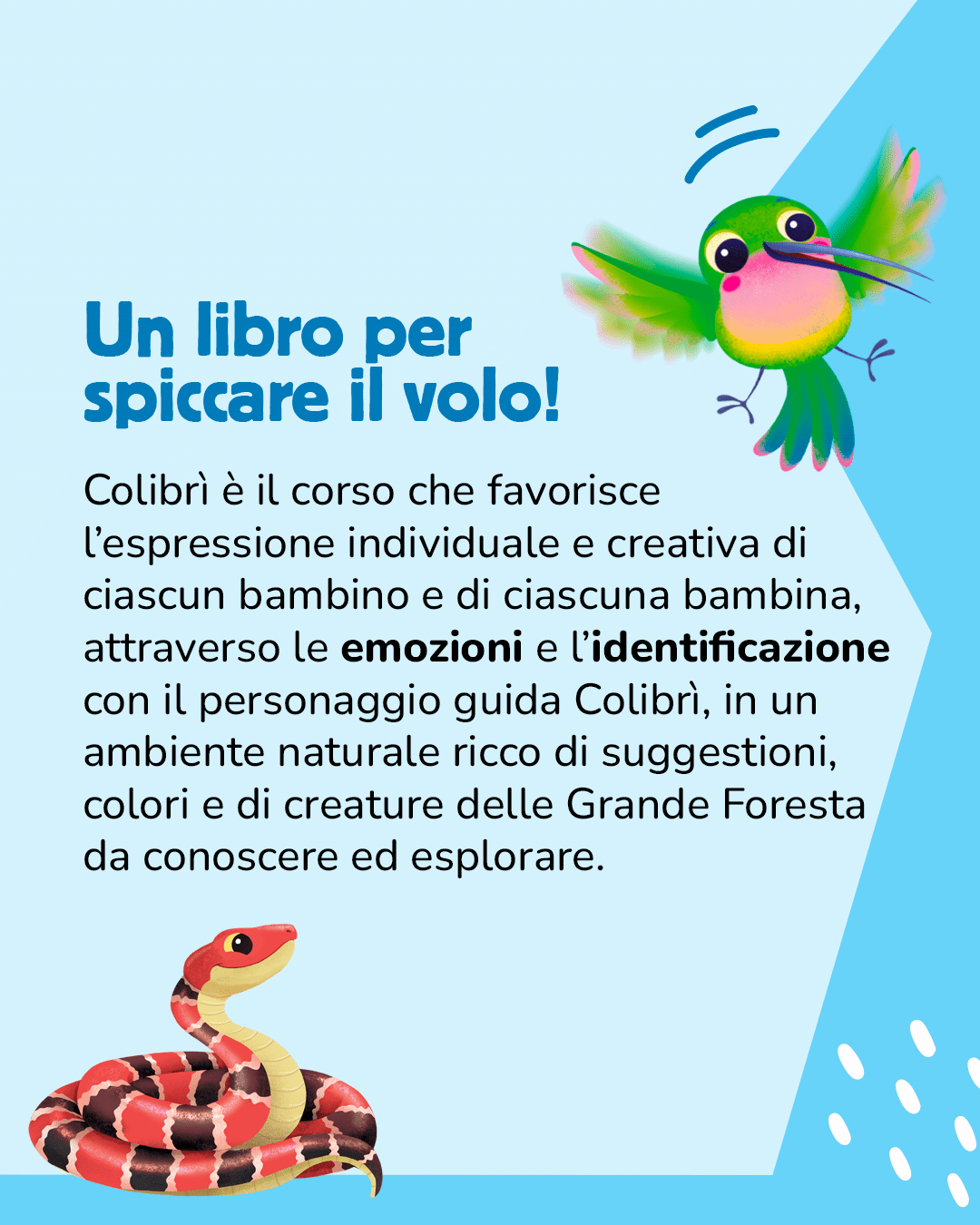 Colibrì Raffaello Scuola
